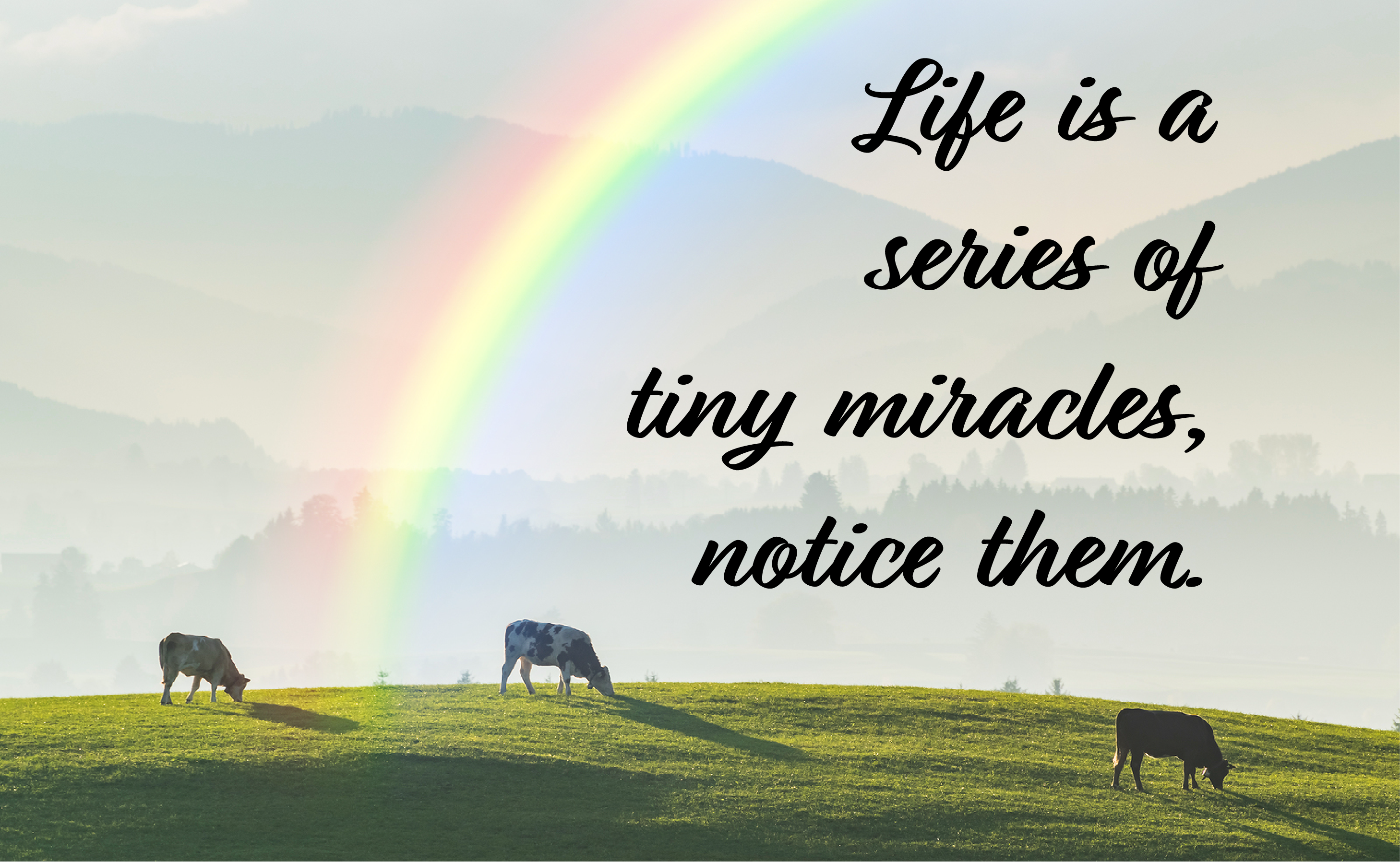 Rainbow Miracles – Amazing Wholeness LLC