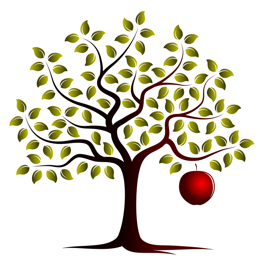 Vector Apple Tree With One Big Apple Isolated On White Backgroun ...