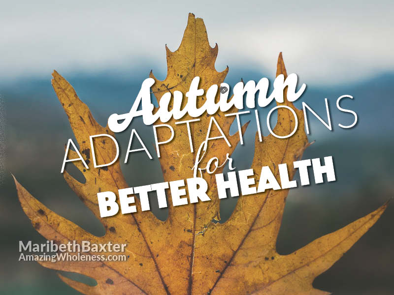 Autumn Adaptations For Better Health – Amazing Wholeness LLC